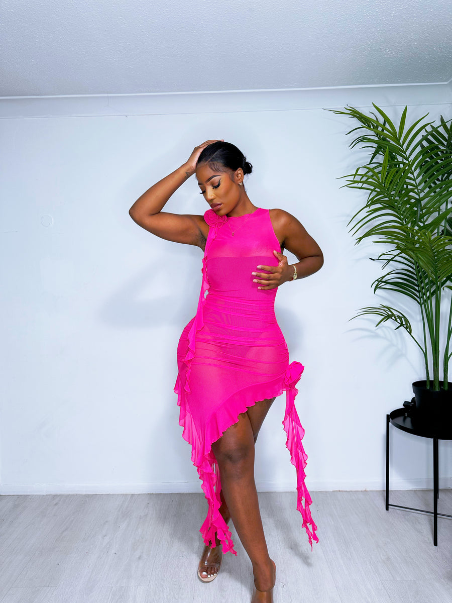 ROSE MESH RUFFLE DRESS (PREORDER) – House of Zimma