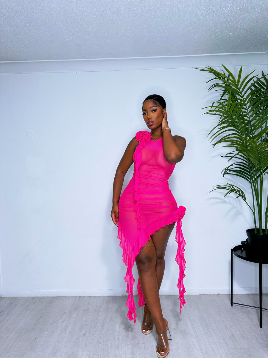 ROSE MESH RUFFLE DRESS (PREORDER) – House of Zimma